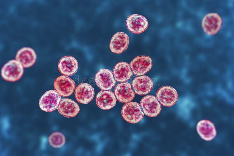 Methicillin-resistente Staphylococcus Aureus Mrsa Stock Abbildung ...