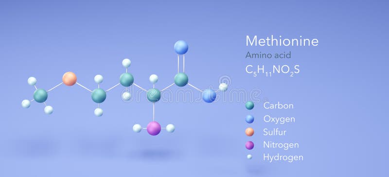 Methionine, Amino Acid, Molecular Structures, 3d Rendering, Structural ...