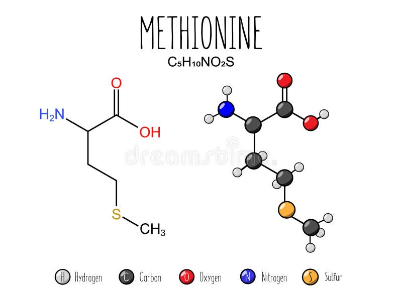 Methionine Lewis Structure