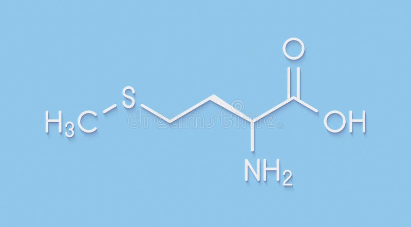 Methionine L-methionine, Met, M Amino Acid Molecule. Skeletal Formula ...