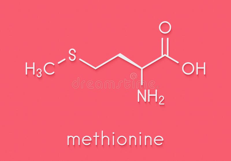 Methionine Lewis Structure