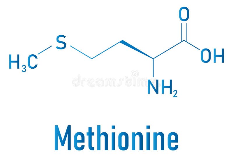 Methionine or L-methionine, Met, M Amino Acid Molecule. Skeletal ...
