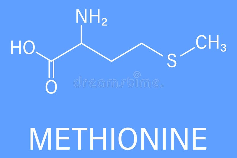 Methionine or L-methionine, Met, M Amino Acid Molecule. Skeletal ...