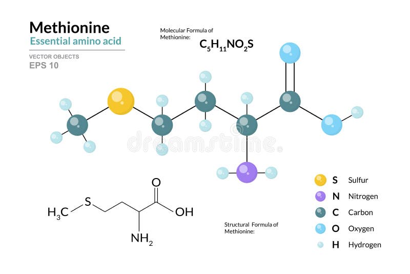 Methionine L- Methionine, Met , M Essential Amino Acid Molecule ...