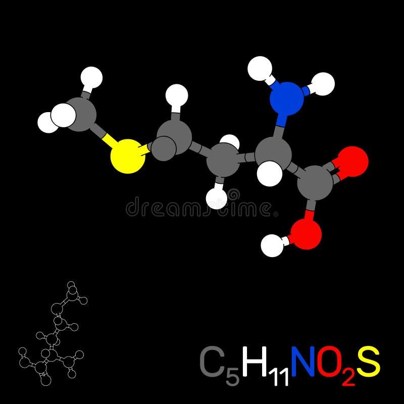 Methionine Molecule Stock Illustrations – 200 Methionine Molecule Stock ...