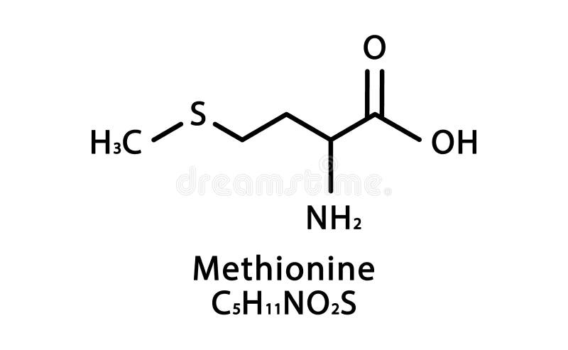 Methionine Molecular Structure. Methionine Skeletal Chemical Formula ...