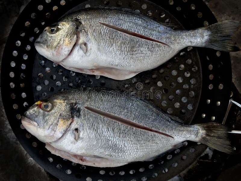 Method of Cooking Sea Fish in a Pan on Fire Stock Image - Image of ...