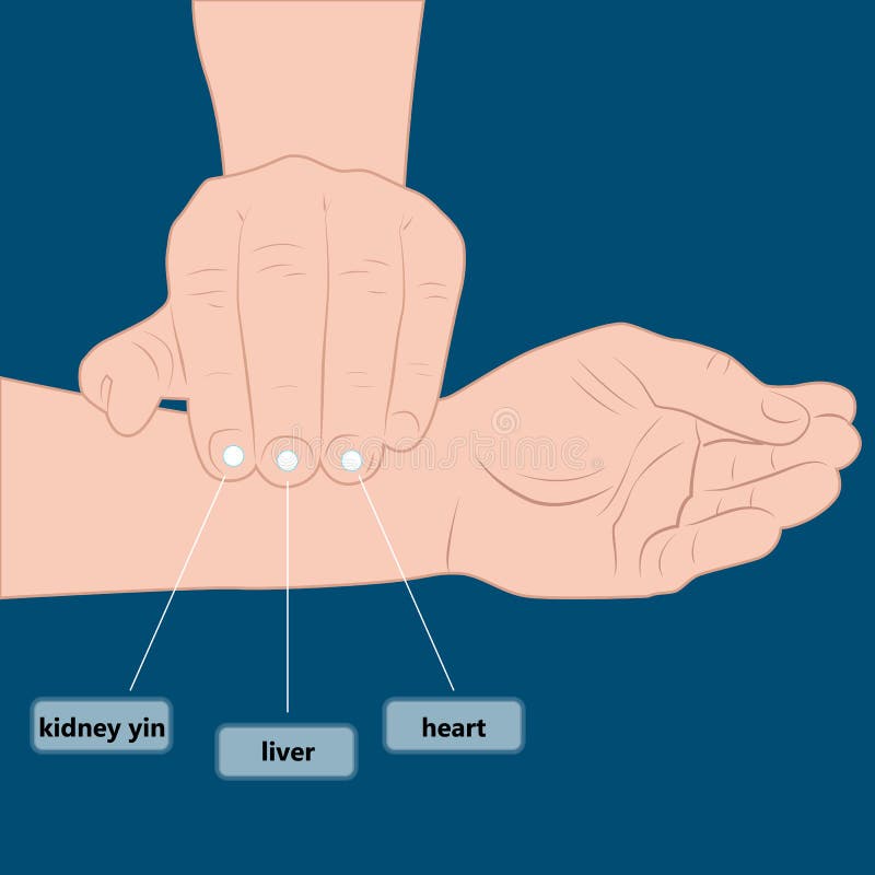 Method determining pulse stock vector. Illustration of healthy - 72500269