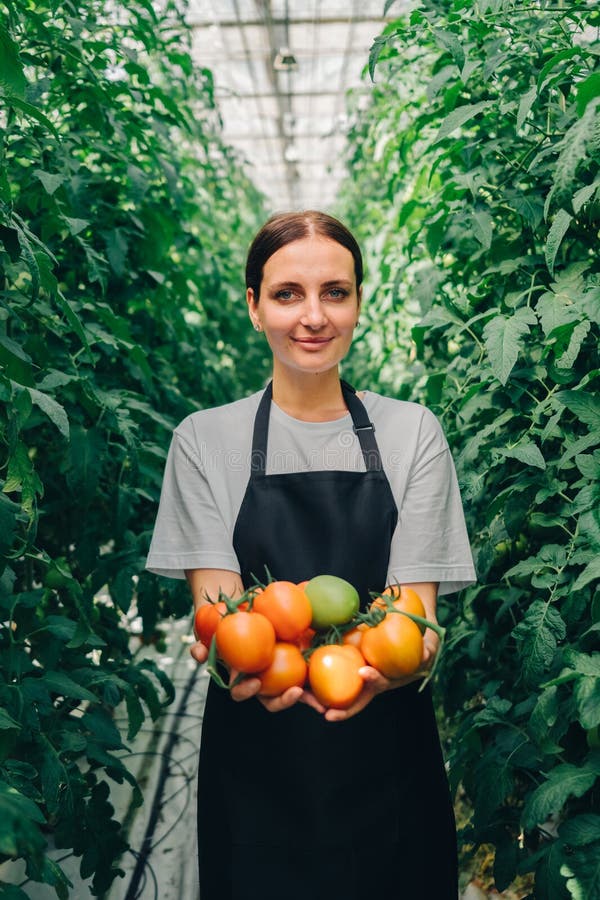 The Methodical Process of Fresh Producing Harvesting that Occurs within ...