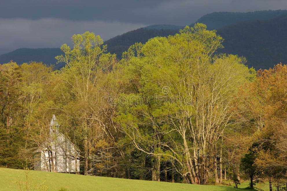 Methodist Church in the Trees Stock Photo - Image of religion ...