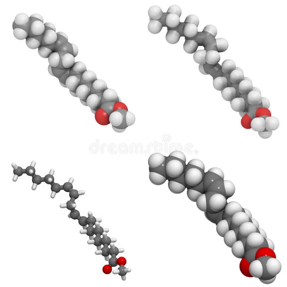 Methyl Lineolate (biodiesel) Molecule Stock Illustration - Illustration ...