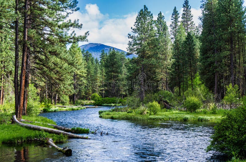 Sahaptin Word Stock Photos - Free & Royalty-Free Stock Photos from ...