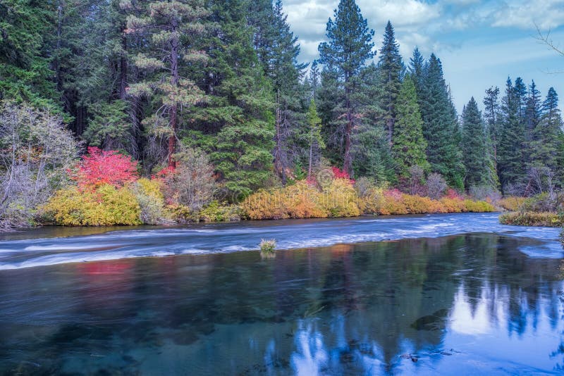Metolius River View stock photo. Image of metolius, color - 173033824
