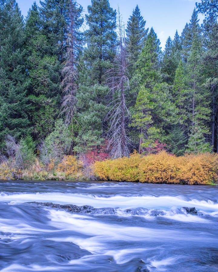 Metolius River View stock image. Image of flowing, fishing - 173033861