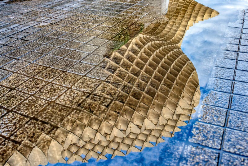 Metropol Parasol Structure Reflected on a Rain Puddle, Stock Photo ...
