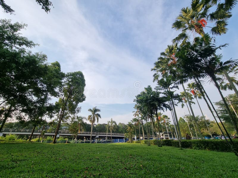 Metropolitan Kepong Malaysia Stock Photo - Image of park, landscape ...