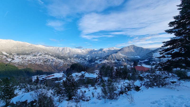 Metsovo Greece Winter Snow Firs Stock Photo - Image of mountain, epirus ...