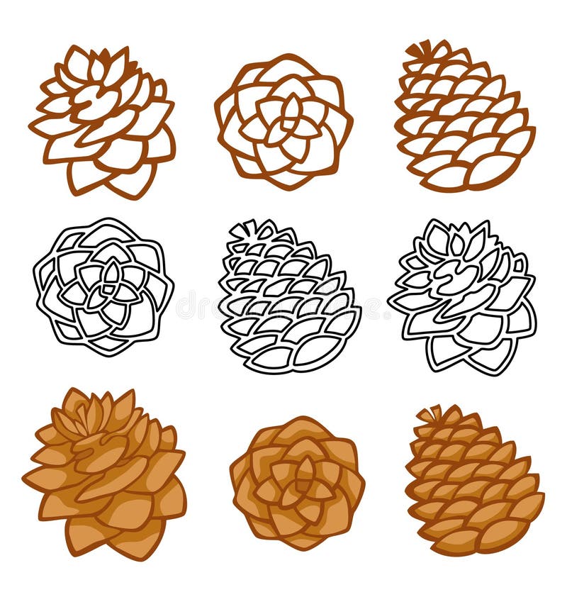 Metta Con Le Pigne Isolate Su Bianco Illustrazione di Stock ...