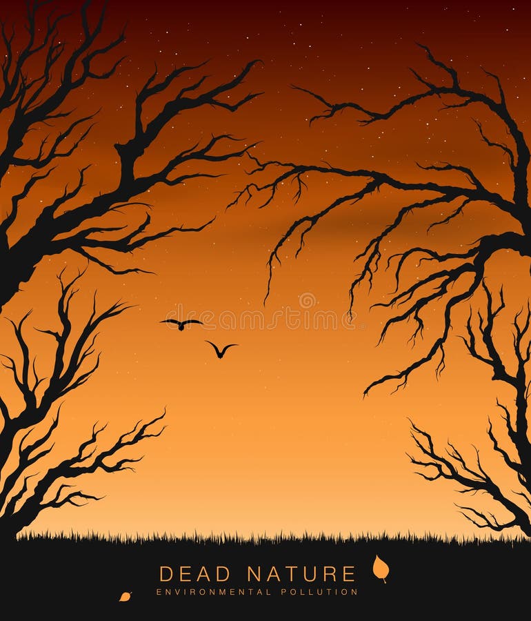 Metta I Rami Degli Alberi Al Tramonto Illustrazione Vettoriale ...