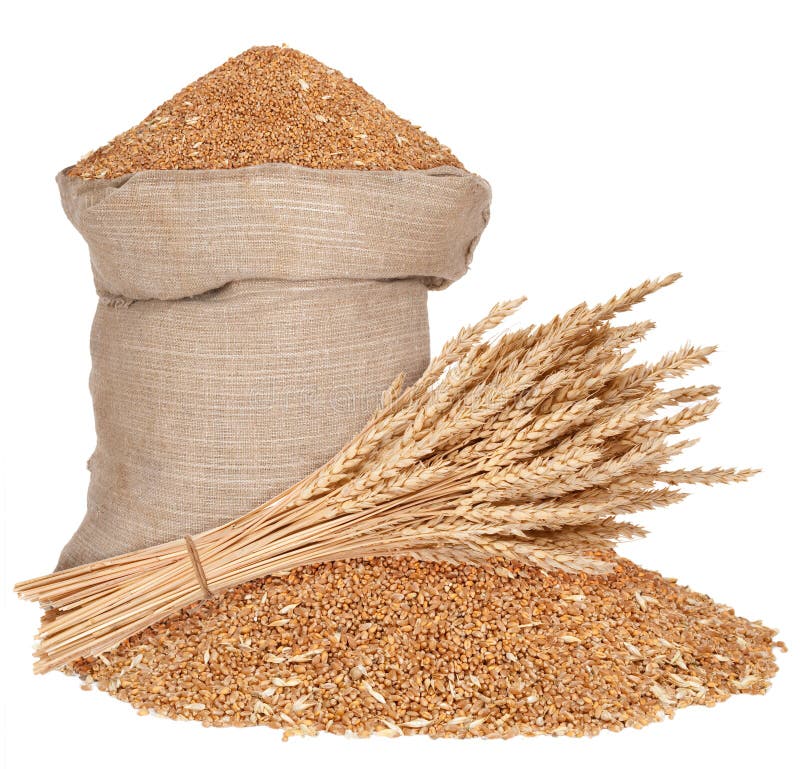 Gerbe de blé image stock. Image du texture, grain, culture - 27063409