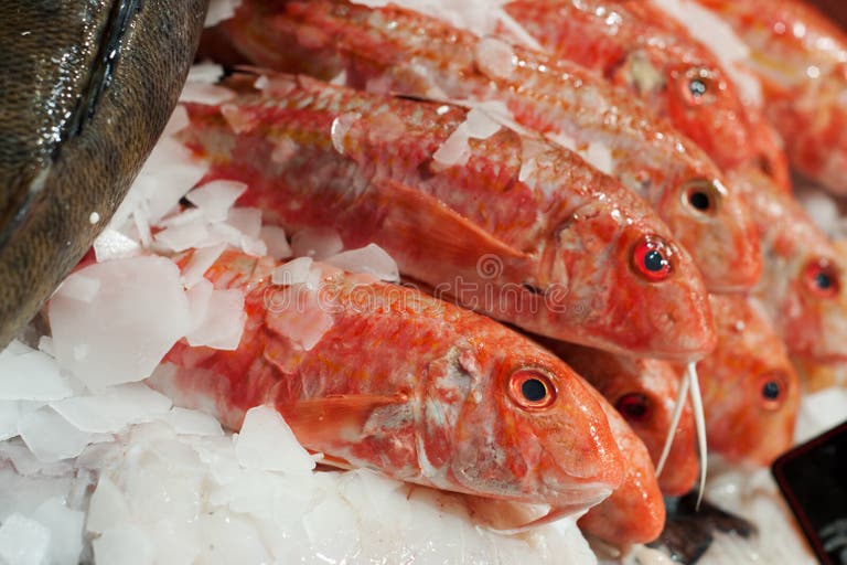 Metz covered market stock image. Image of metz, french - 25139027