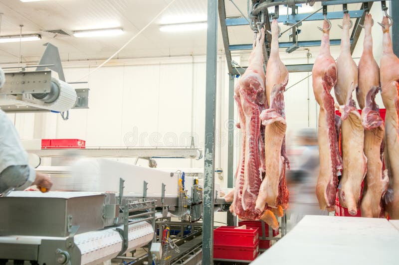 Metzger und Fleisch stockfoto. Bild von kopf, fahrwerkbein - 64613674