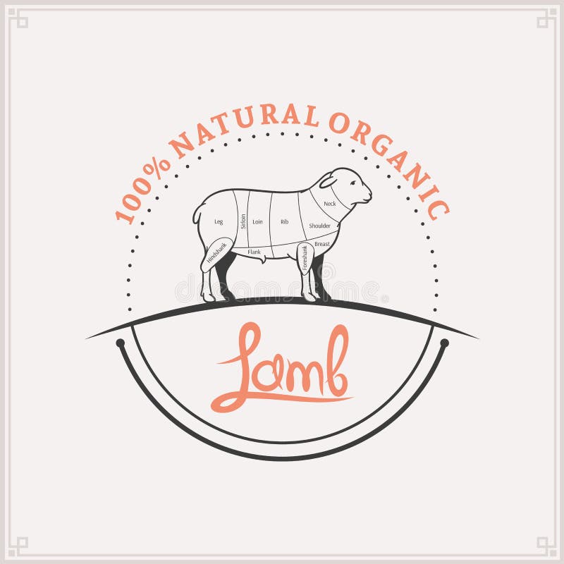 Metzger Shop Label Template, Lamm Schneidet Diagramm Vektor Abbildung ...