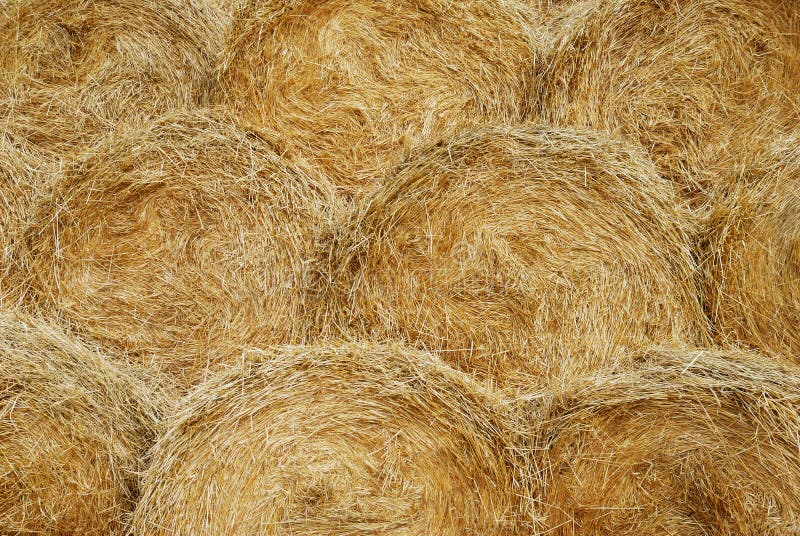 Texture de cube en foin image stock. Image du ferme, zone - 2074111