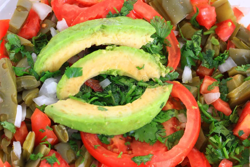 Nopal Cactus Pads stock foto. Image of plantaardig, stootkussen - 156210692