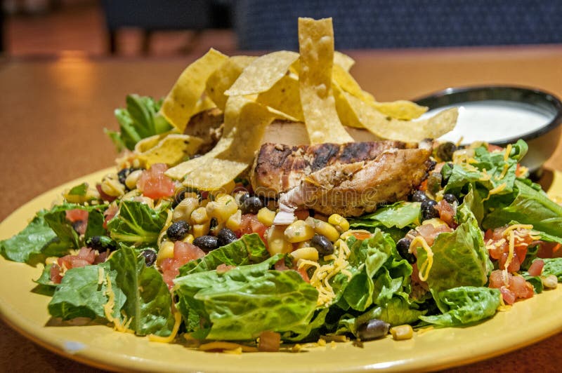 Mexicaanse Salade Met Rijst, Tomaat, Avocadograan En Bonen Stock Foto ...