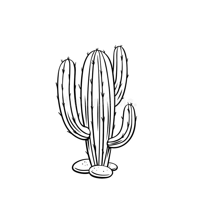 Mexican cactus stock vector. Illustration of sketch - 248051815
