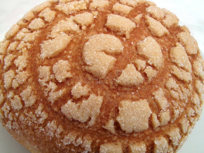 Mexican Concha Pastry stock image. Image of concha, dessert - 6871953