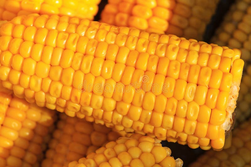 Mexican Corn Cooked for Food Stock Image - Image of fresh, barbeque ...
