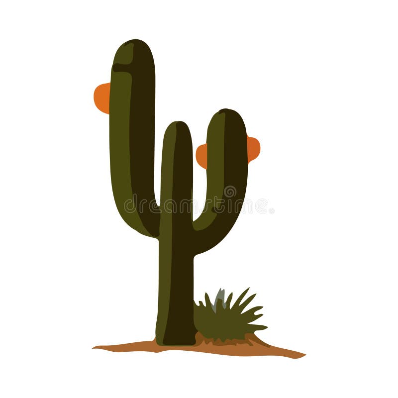 Cactus Vector Drawing. Isolated Hand Drawn, Engraved Style Illustration ...