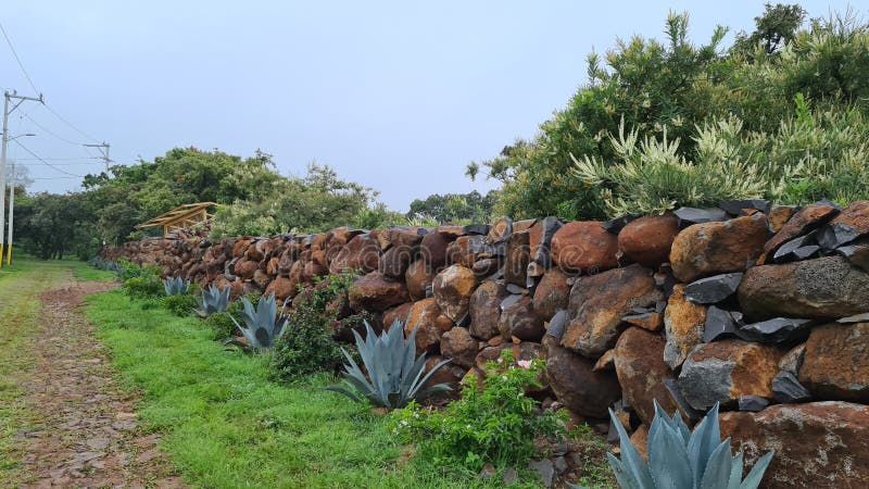 Mexican Fence Build with Rocks Stock Image - Image of growing, jungle ...