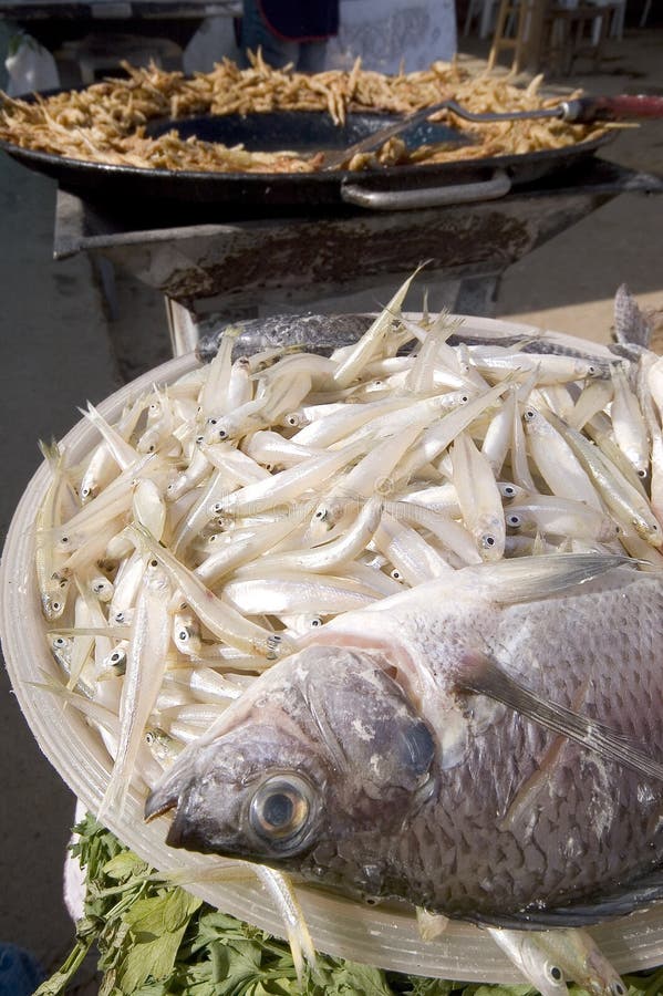 Charales Stock Photos - Free & Royalty-Free Stock Photos from Dreamstime