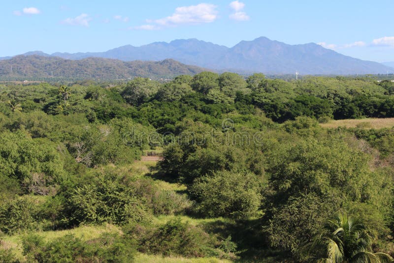 Mexican Jungle stock photo. Image of hills, destination - 66007012