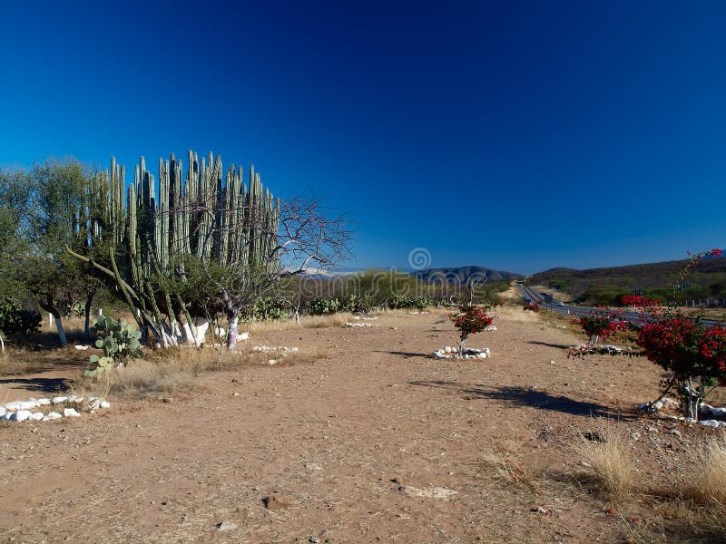 Mexican Landscape in a Mountain Grassland Stock Photo - Image of mexico ...
