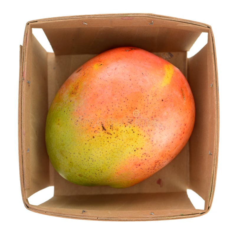 Mexican mango stock image. Image of mexican, diet, healthy - 44204951