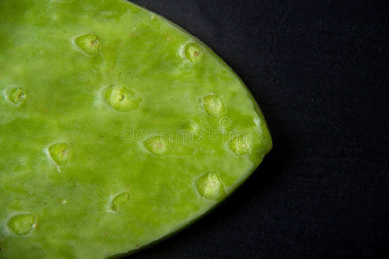 Nopal catus stock image. Image of agriculture, nopales - 99073667