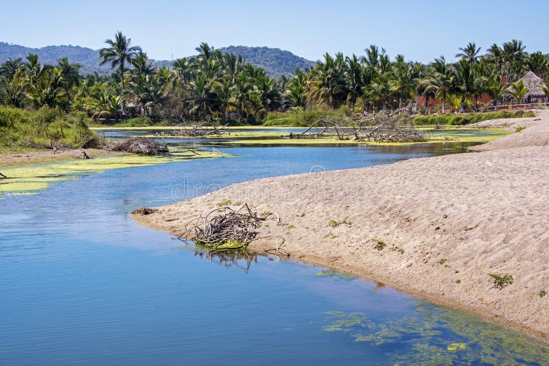 Jungle River in Southern Mexico Stock Photo - Image of tomatlan, boca ...
