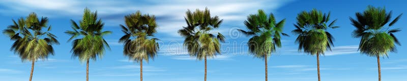 Tropical Panorama stock photo. Image of turquiose, cooks - 128168