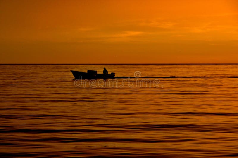Mexican Panga stock image. Image of fisherman, fish, baja - 4021617
