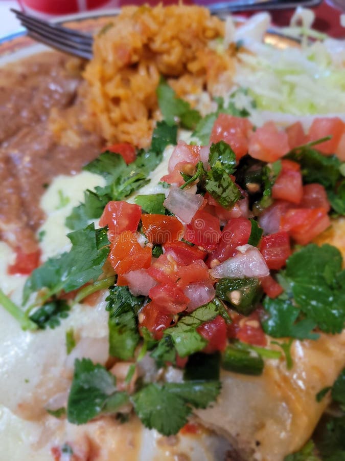 Mexican Pico De Galo Rice Beans Stock Photo - Image of rice, fish ...