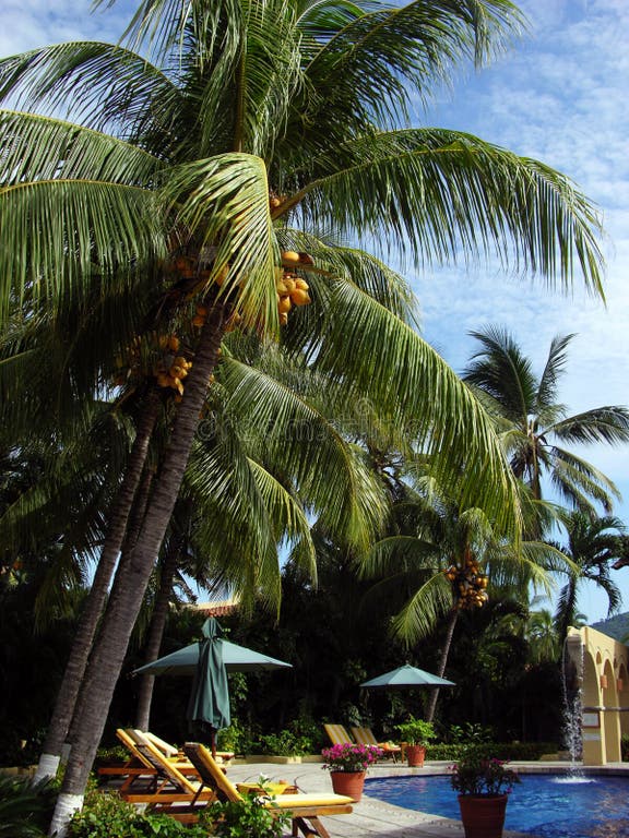 Mexican Resort stock image. Image of tourism, peaceful - 6502359