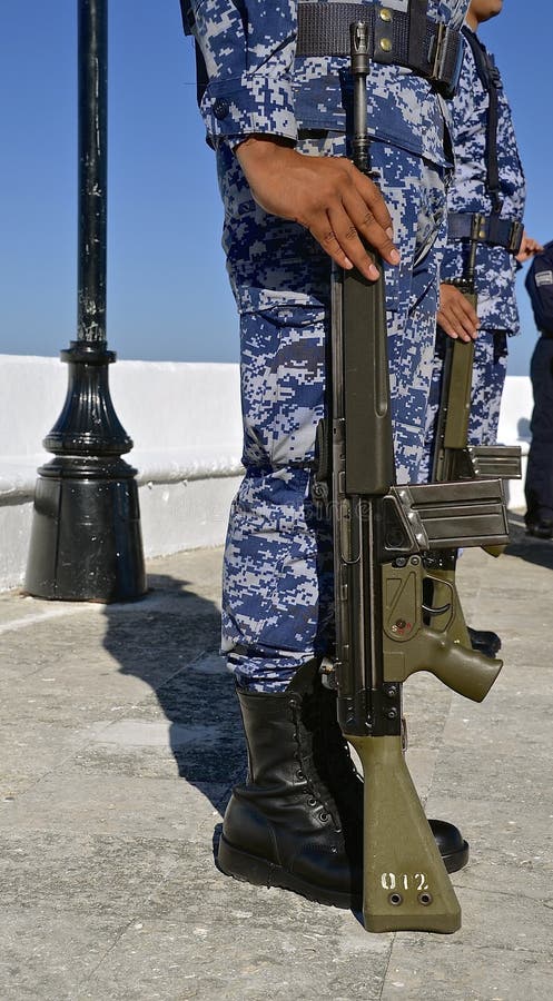 472 Soldier Standing Attention Stock Photos - Free & Royalty-Free Stock ...