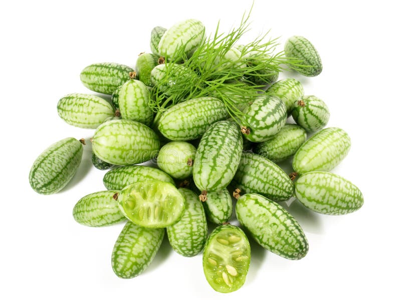 Mexican Sour Gherkin on White Background - Isolated Stock Photo - Image ...