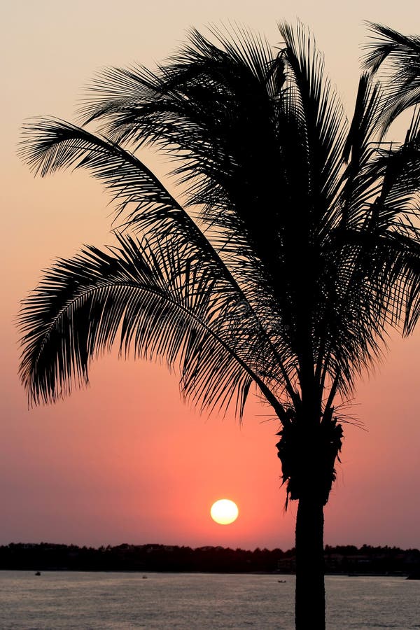 Mexican Sunset stock photo. Image of tropics, vallarta - 717698