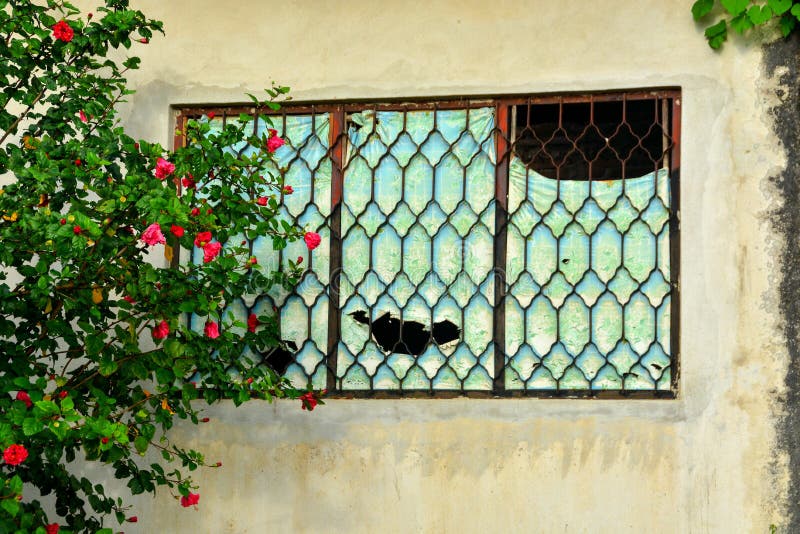 Mexican Window stock photo. Image of detail, flowers - 78331494
