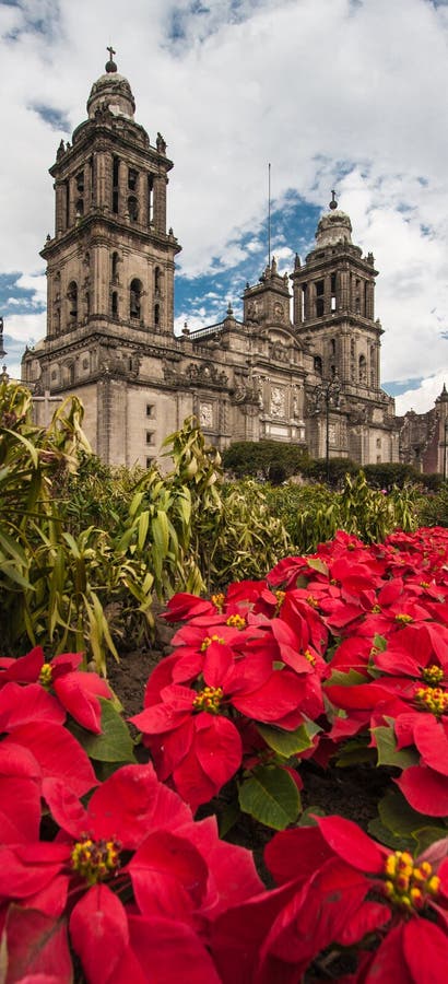 Mexico City, main Plaza stock photo. Image of tower, cities - 30707958